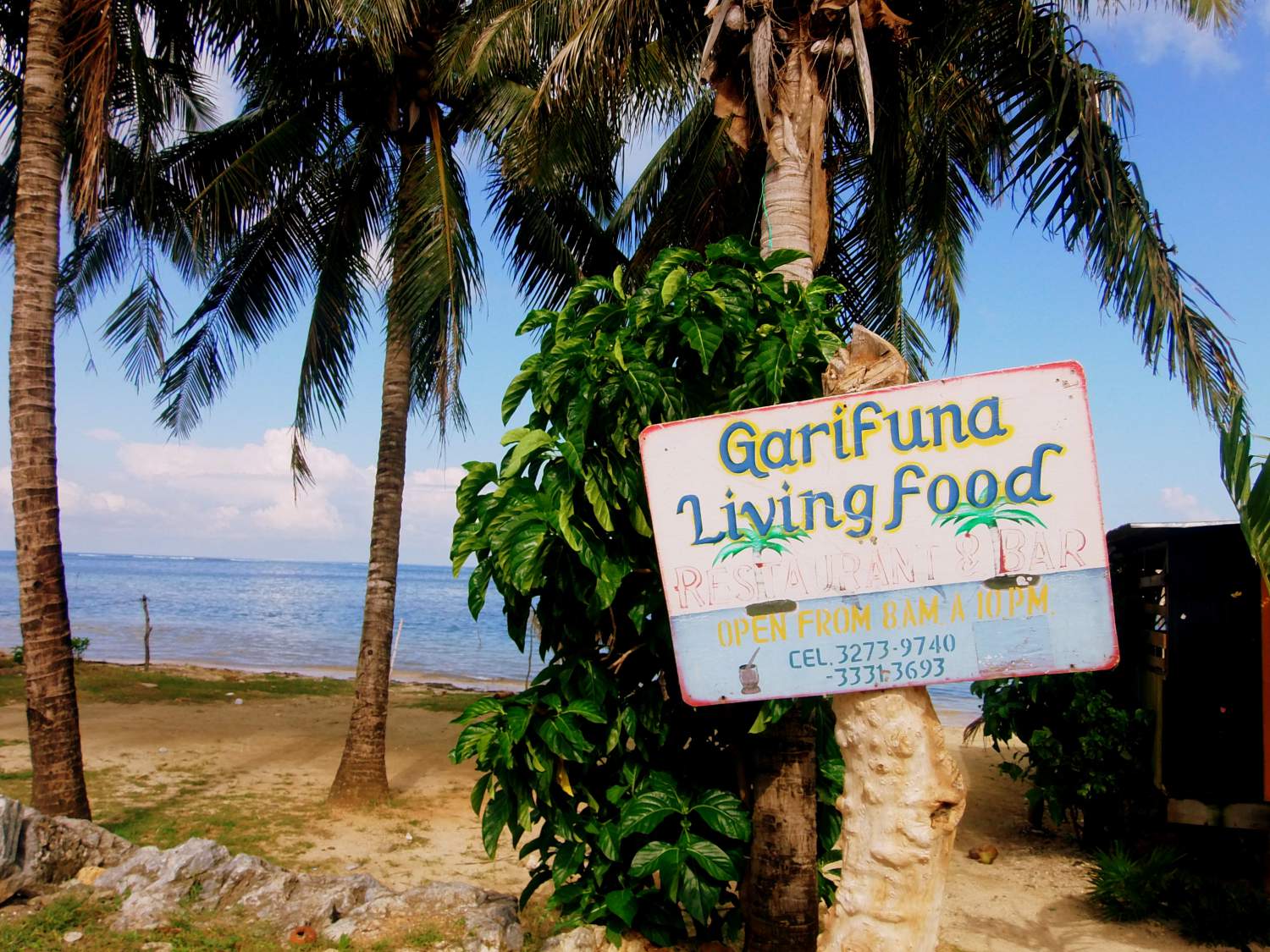 Your local’s guide to the best restaurants in Roatan | Experience Transat