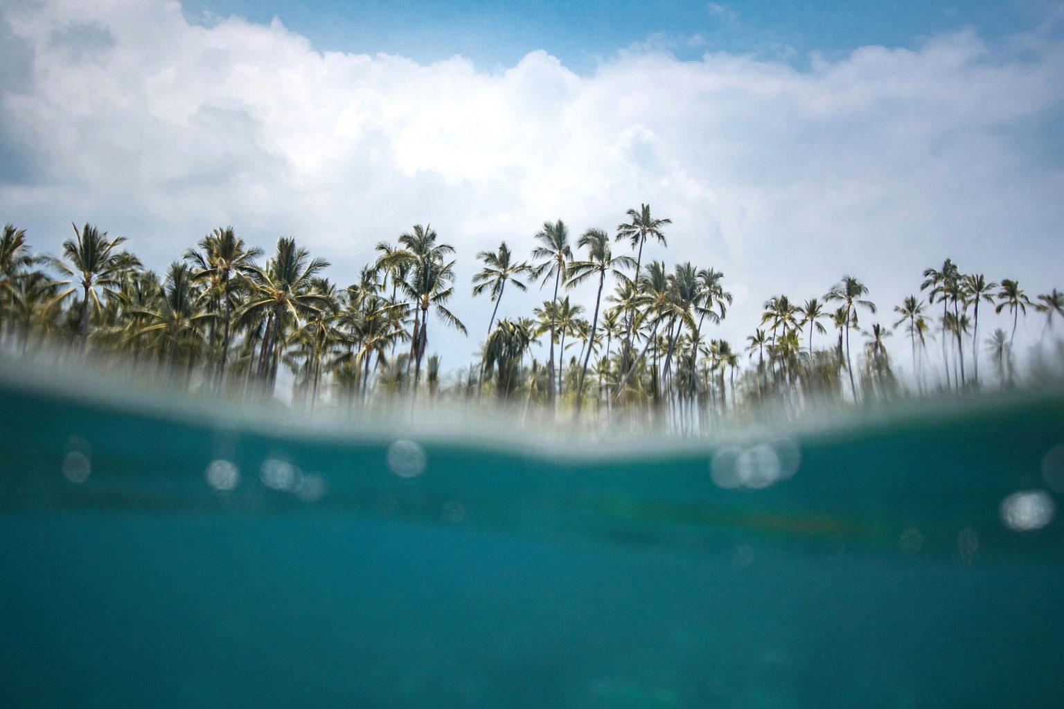 Where to Travel in April 2025 | #ExperienceTransat