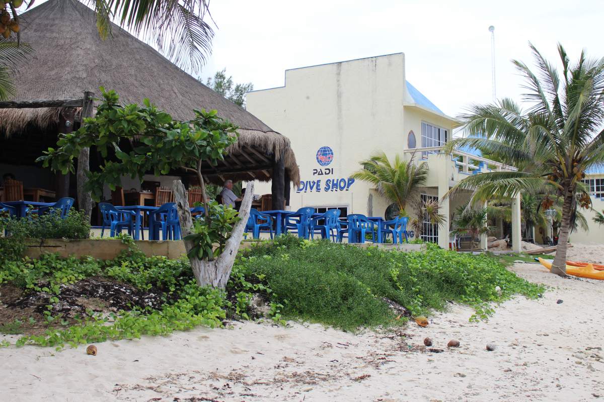 3 must-see beaches with turquoise waters in the Riviera Maya ...