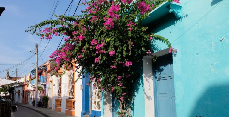 2025 Non-Stop Sun Destinations from Toronto | #ExperienceTransat