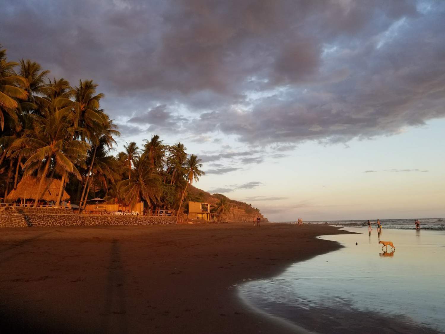 El Zonte : le village qui monte au Salvador | Expérience Transat