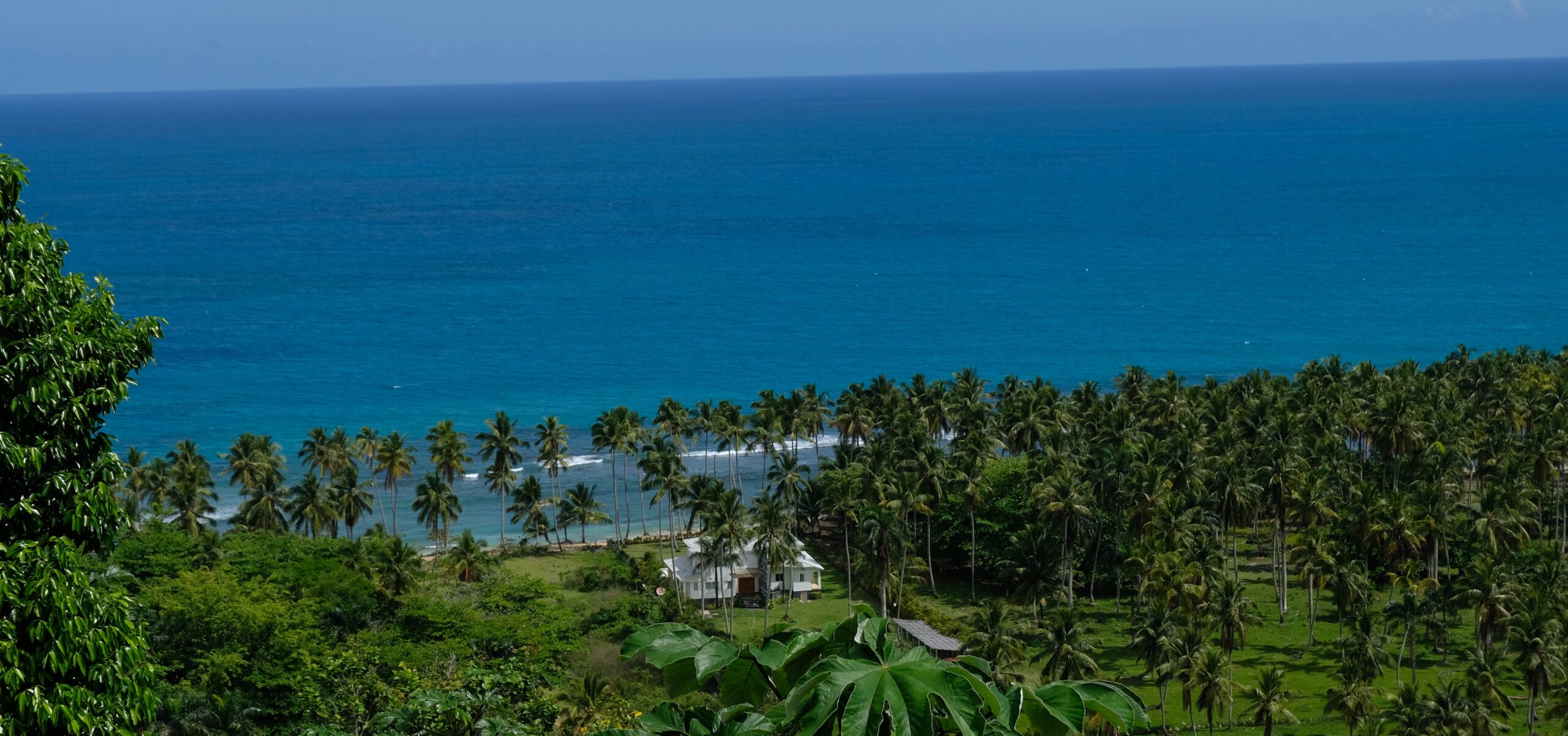 2025 Best Things to Do in Samana, DR | #ExperienceTransat