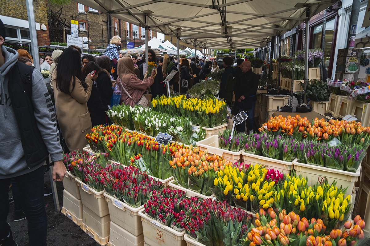 Columbia Road Flower Market à Londres | #ExperienceTransat