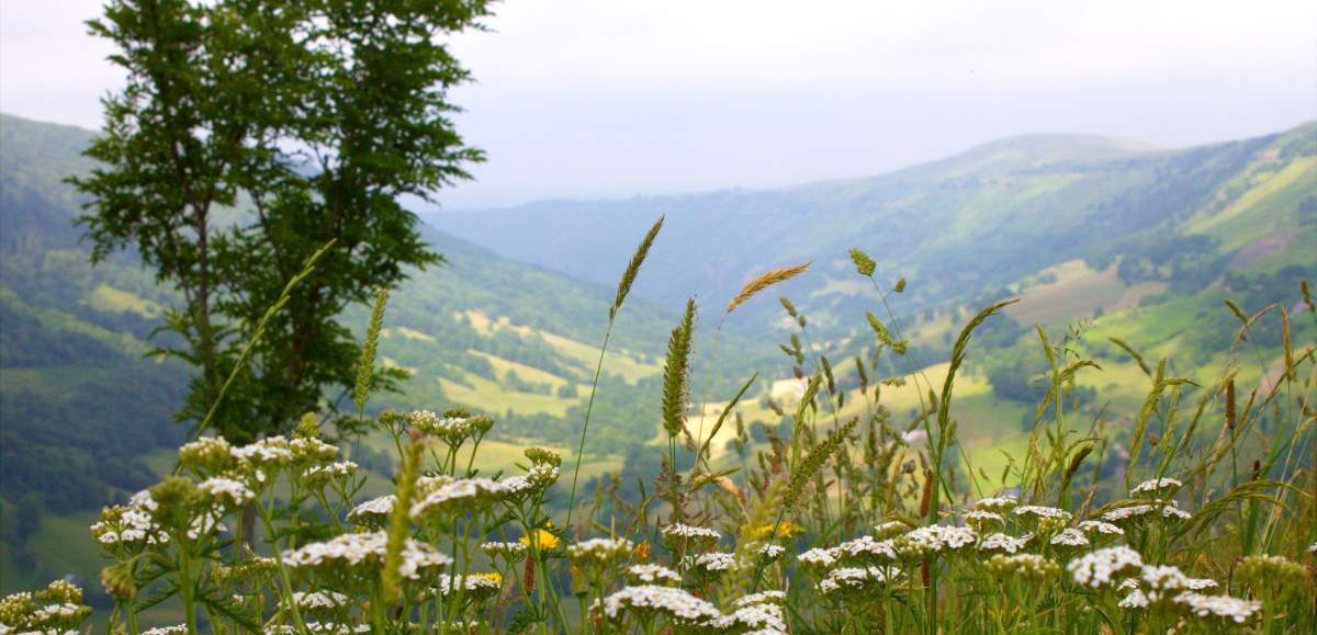 Ten Ways To Visit Aquitaine | Experience Transat