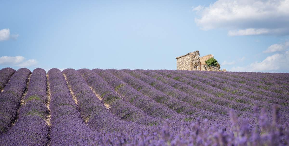 6 Must-See Stops on Any 2023 Provence Trip | #ExperienceTransat