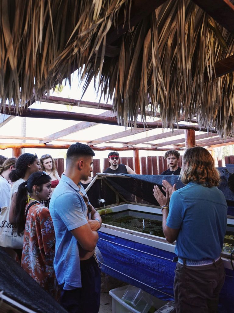 Journey for Change: Substainable Tourism with Transat | #ExperienceTransat