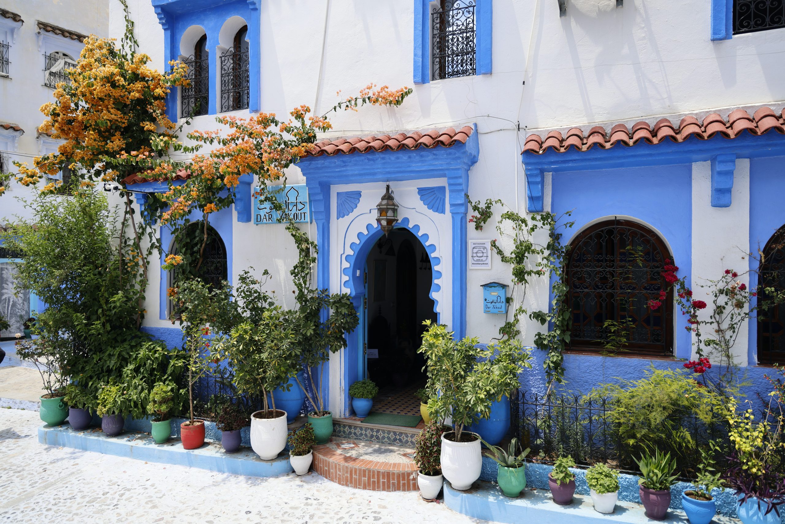 The Best Books & Movies Set in Morocco | #ExperienceTransat