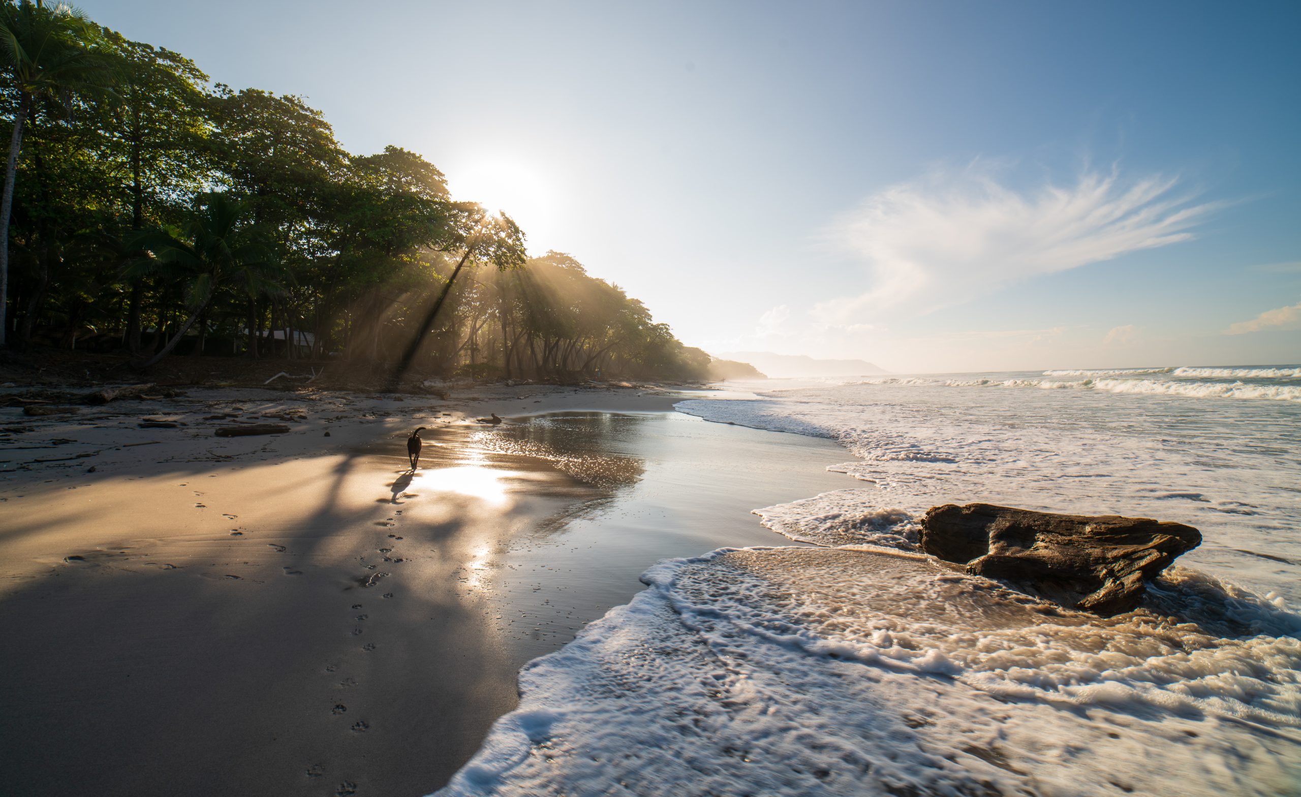 Nos bonnes adresses au Costa Rica en 2024 | #ExperienceTransat