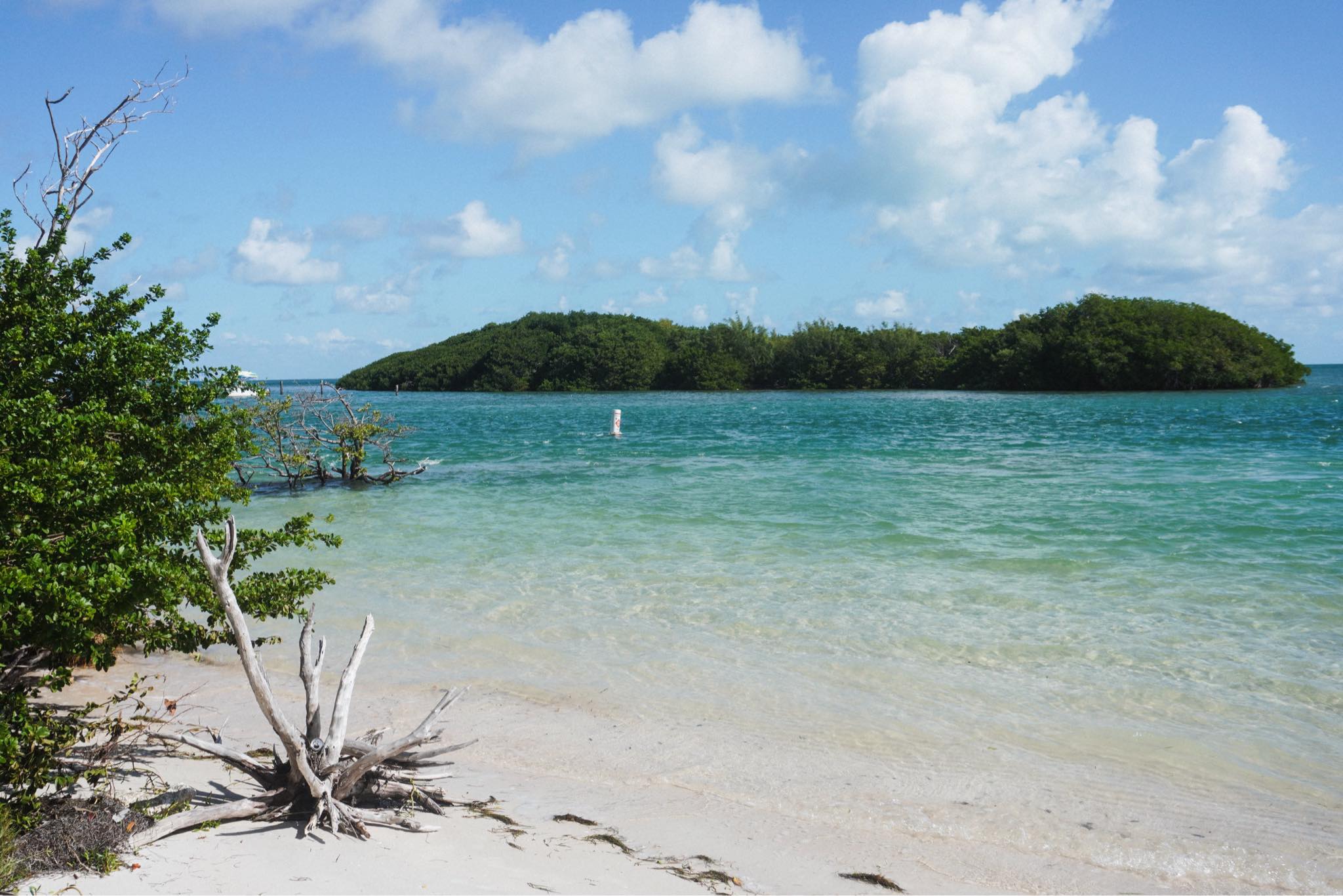 Boca Chita: Day Trip from Miami to the Florida Keys | #ExperienceTransat