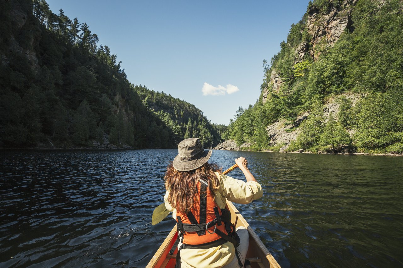 Comment voir la faune en Ontario, Canada | #ExperienceTransat