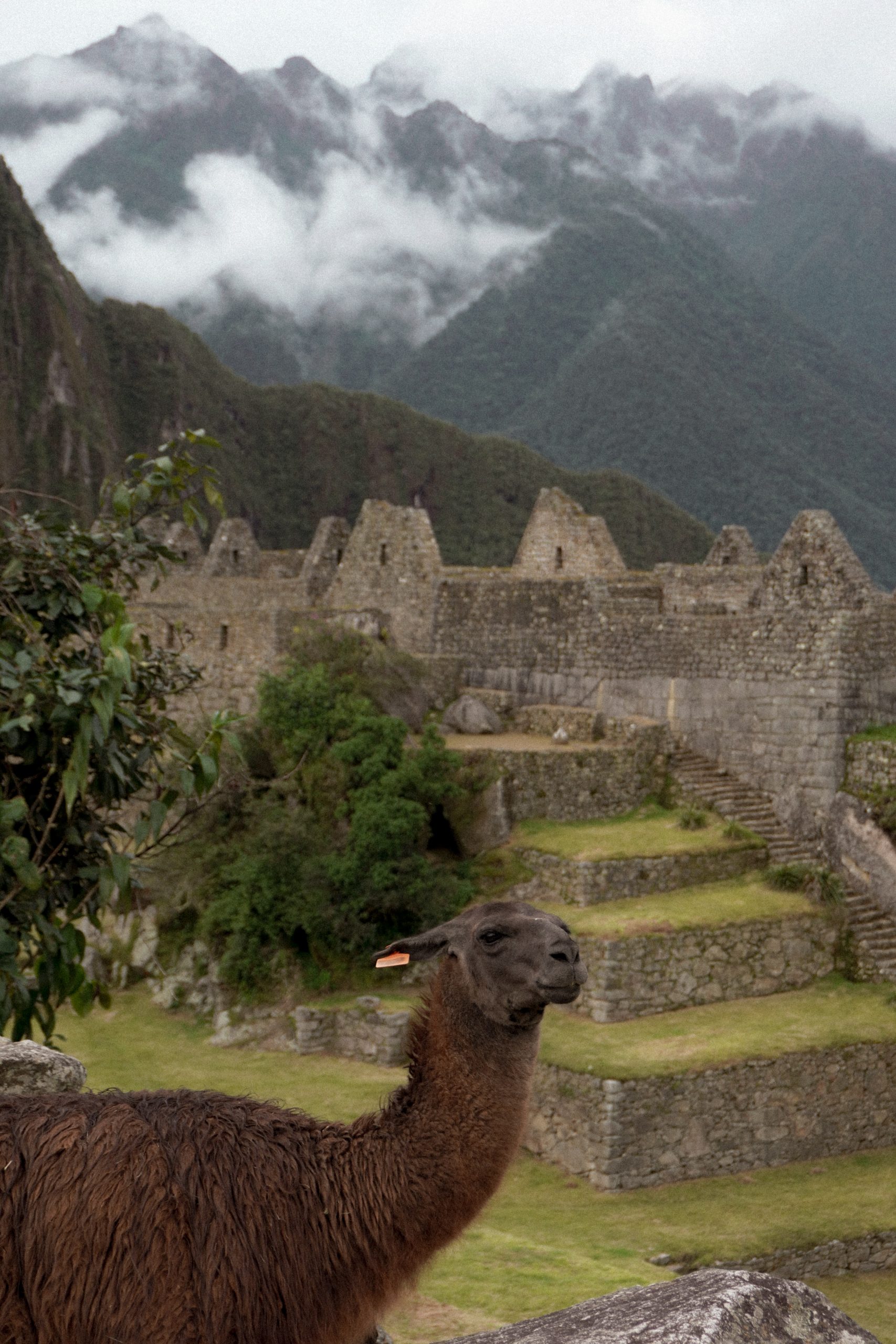 Conseils pour le Machu Picchu: Guide 2025 | #ExperienceTransat