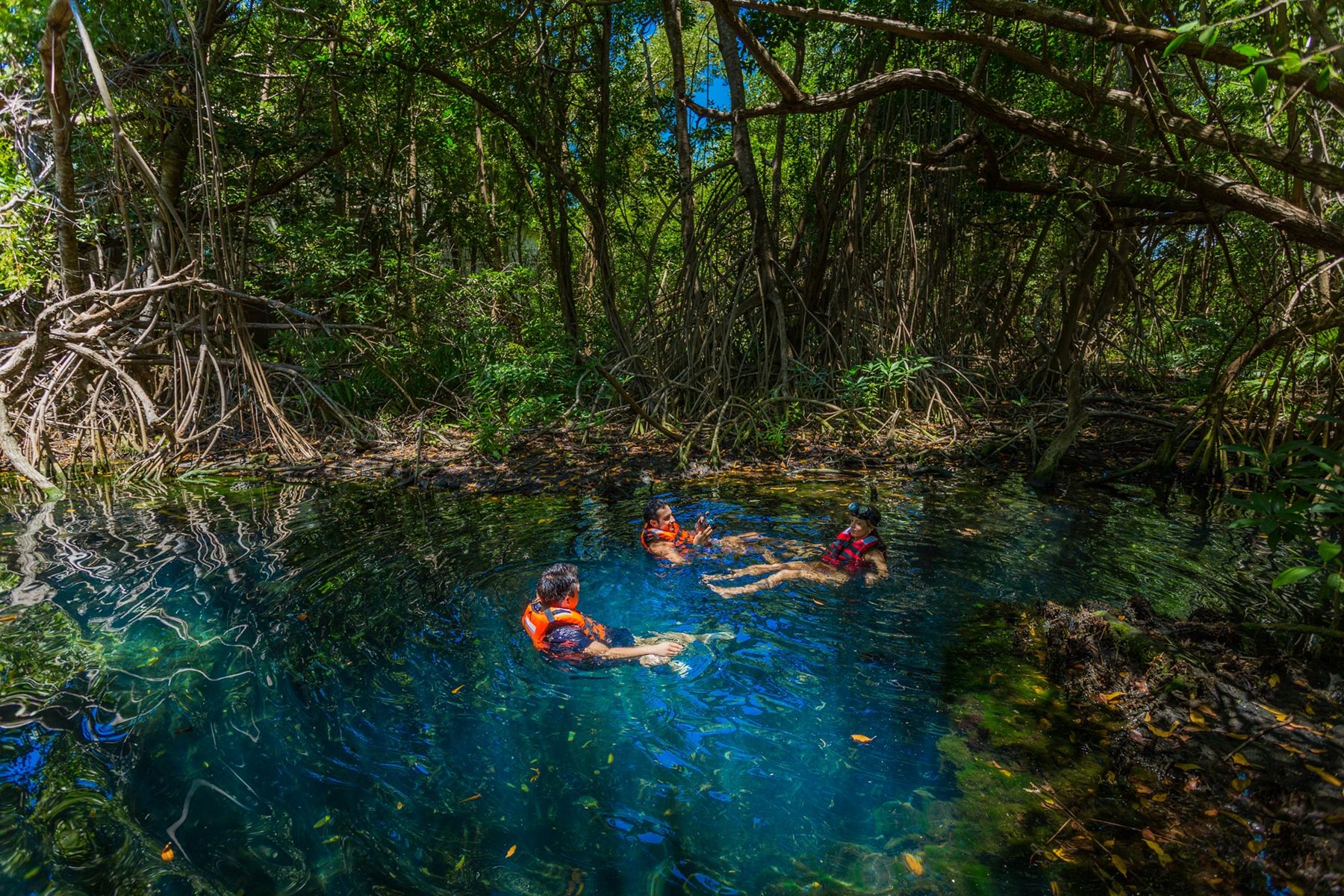 Eco-Friendly Resort in Mexico: Sandos Caracol | #ExperienceTransat